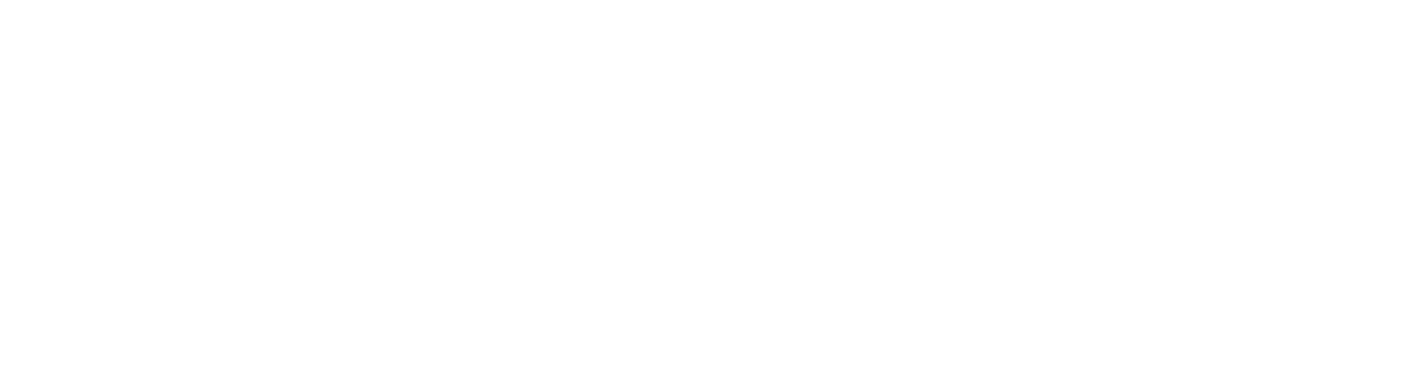 Company | Shapers’ Polska Sp. z o. o.